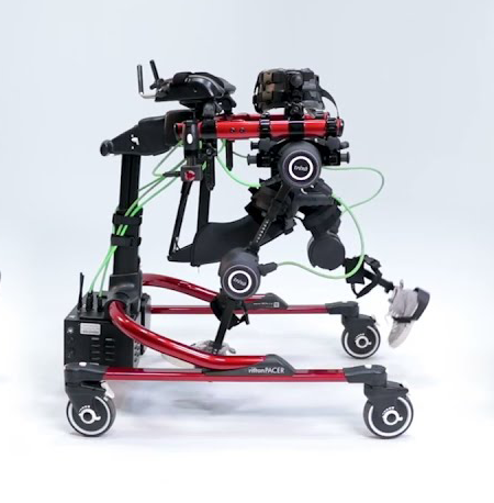Trexo Robotic Gait Trainer - Apex Mobility – APEX Mobility